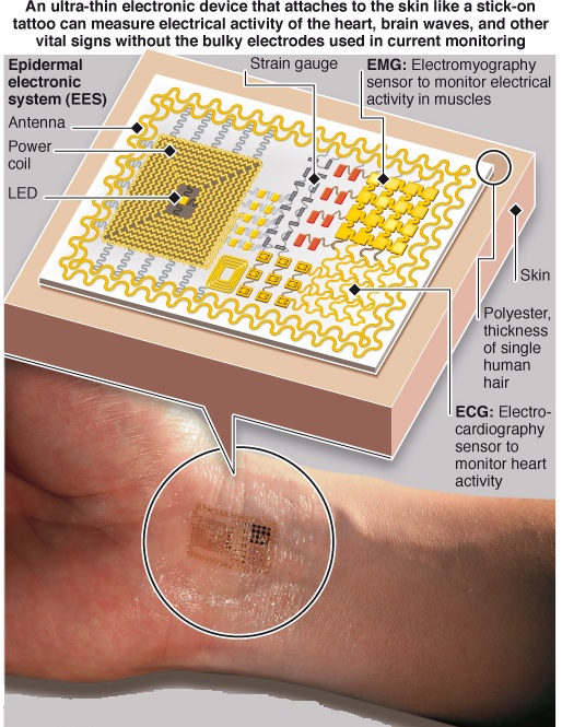 Electronic Skin: What are the Functions and Applications?